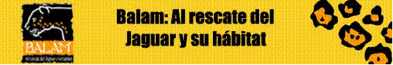 Index of /cultura/imagenes_cultura/